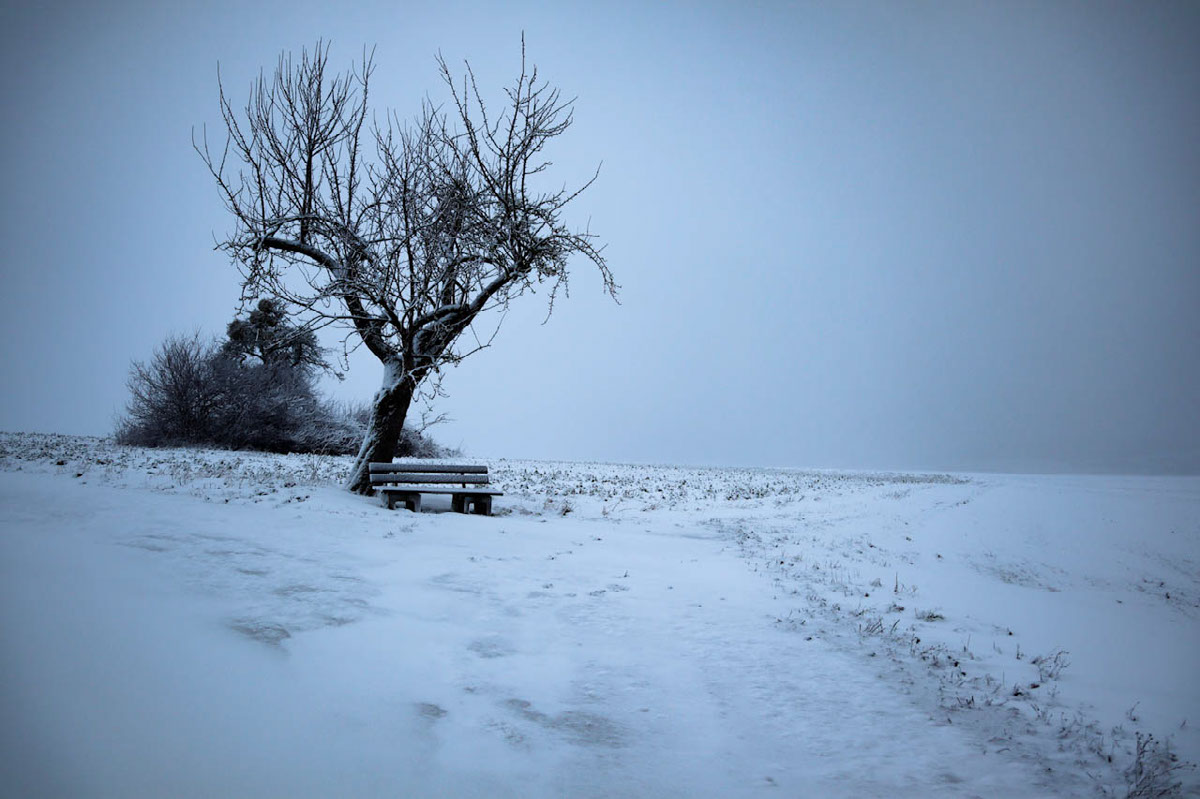 Favorite Spot | Edit | Photoshop Lightroom