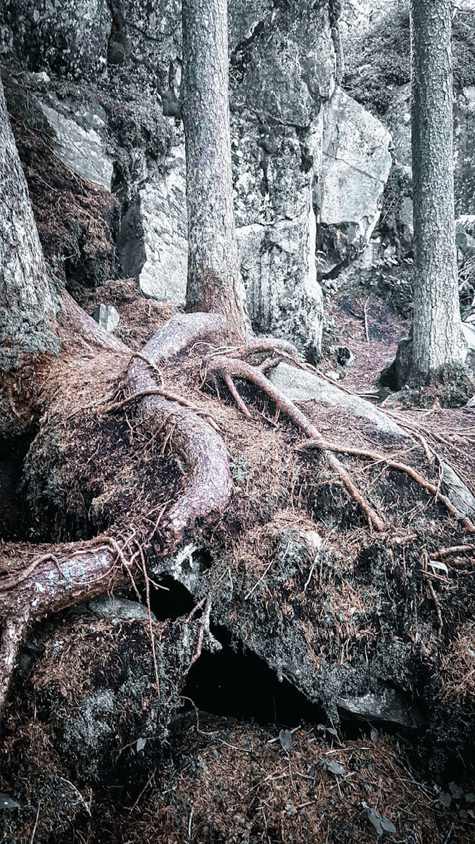 Skyrim | Edit | Photoshop Lightroom