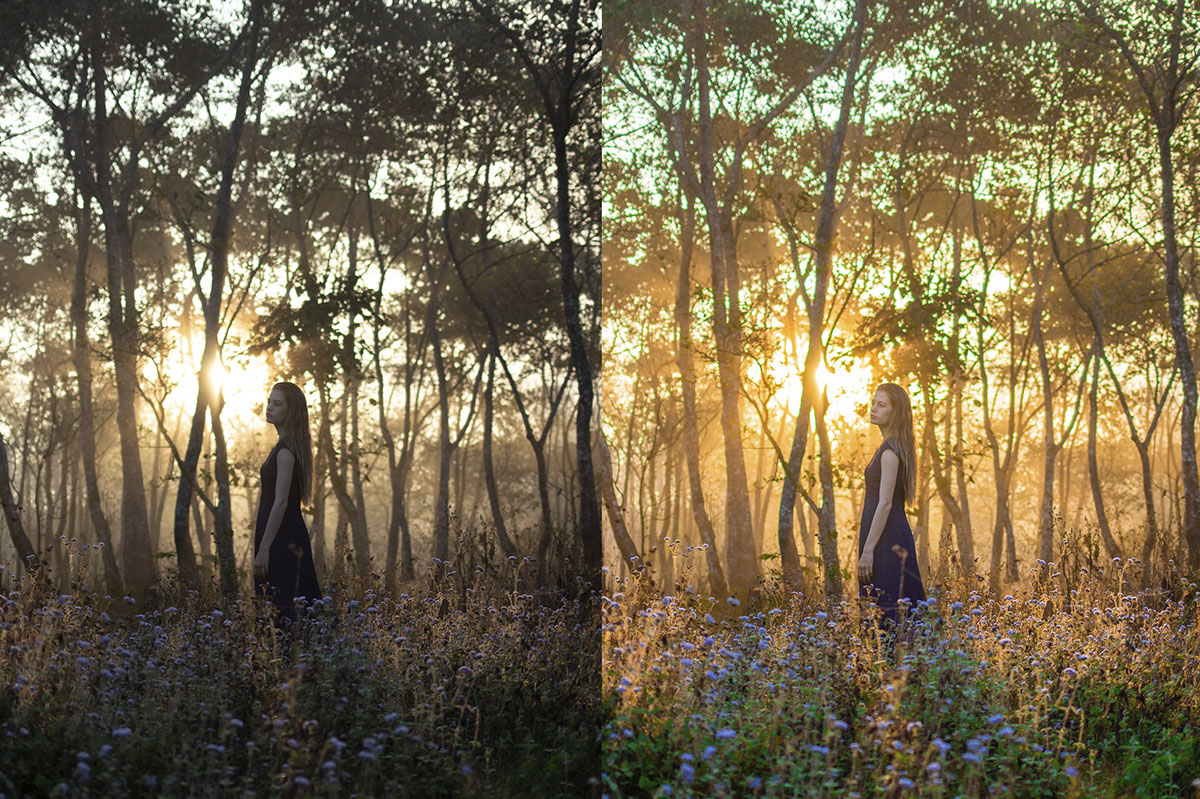 Create Impressive Morning Atmosphere | Tutorial | Photoshop Lightroom