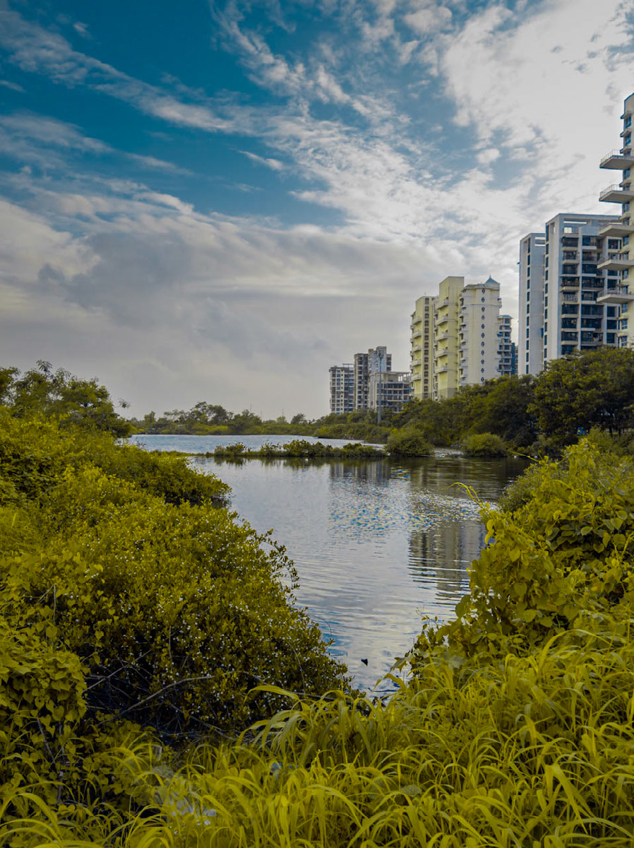 Balance | Edit | Photoshop Lightroom