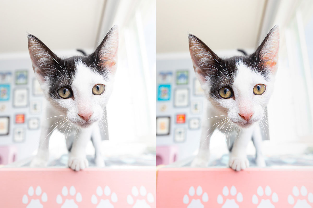 Using a Linear Gradient Filter to Balance Exposure | Tutorial | Adobe ...