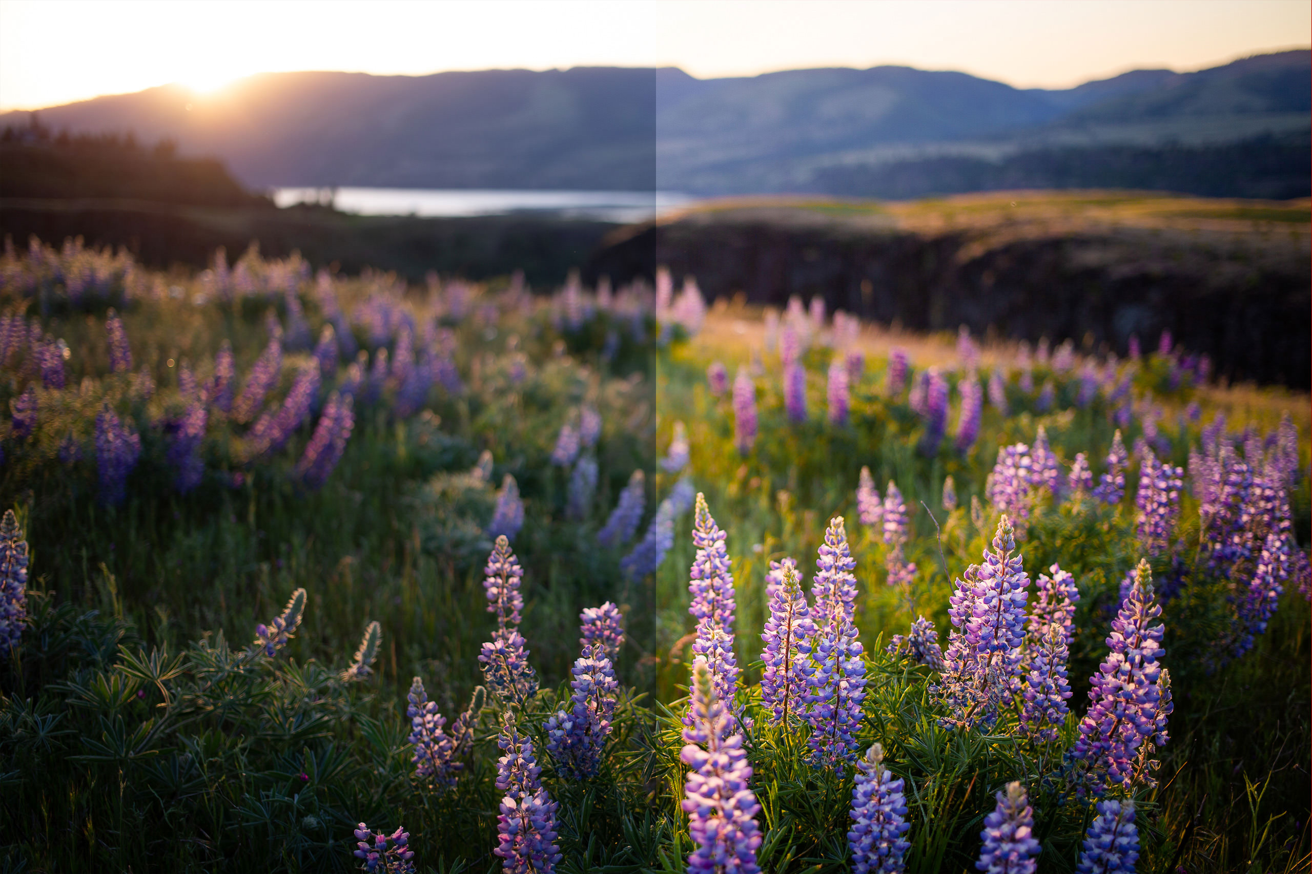 Improving a Landscape Image with Cropping, Color and Effects | Tutorial ...