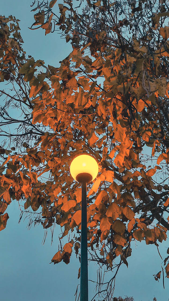 lamp | Edit | Photoshop Lightroom