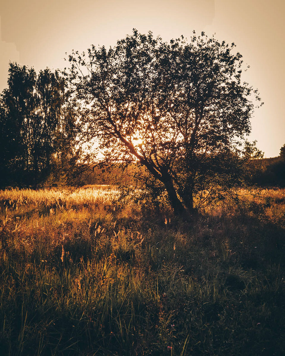 Sunset | Edit | Photoshop Lightroom