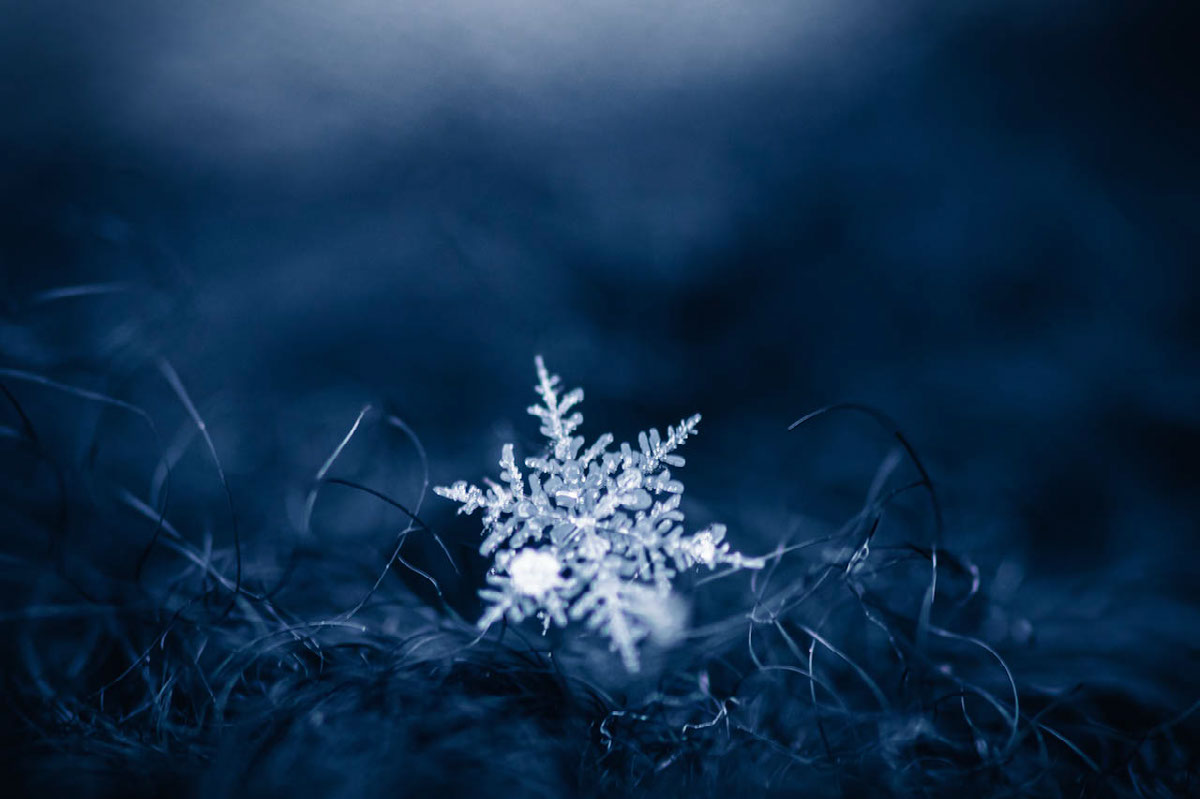 Snowflake | Edit | Photoshop Lightroom