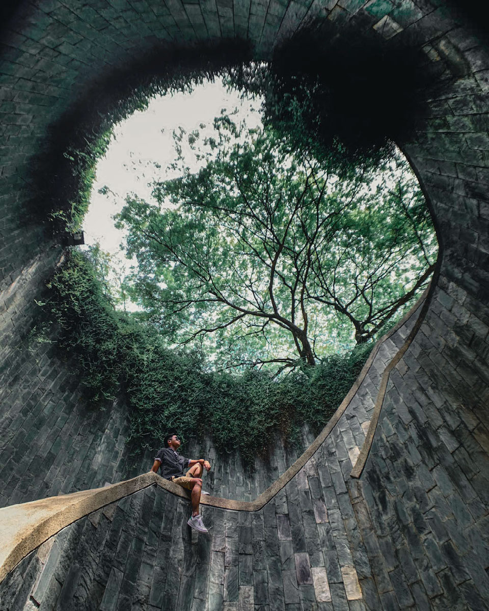 Urban Jungle | Edit | Photoshop Lightroom