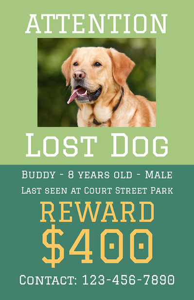What To Put On A Found Dog Flyer