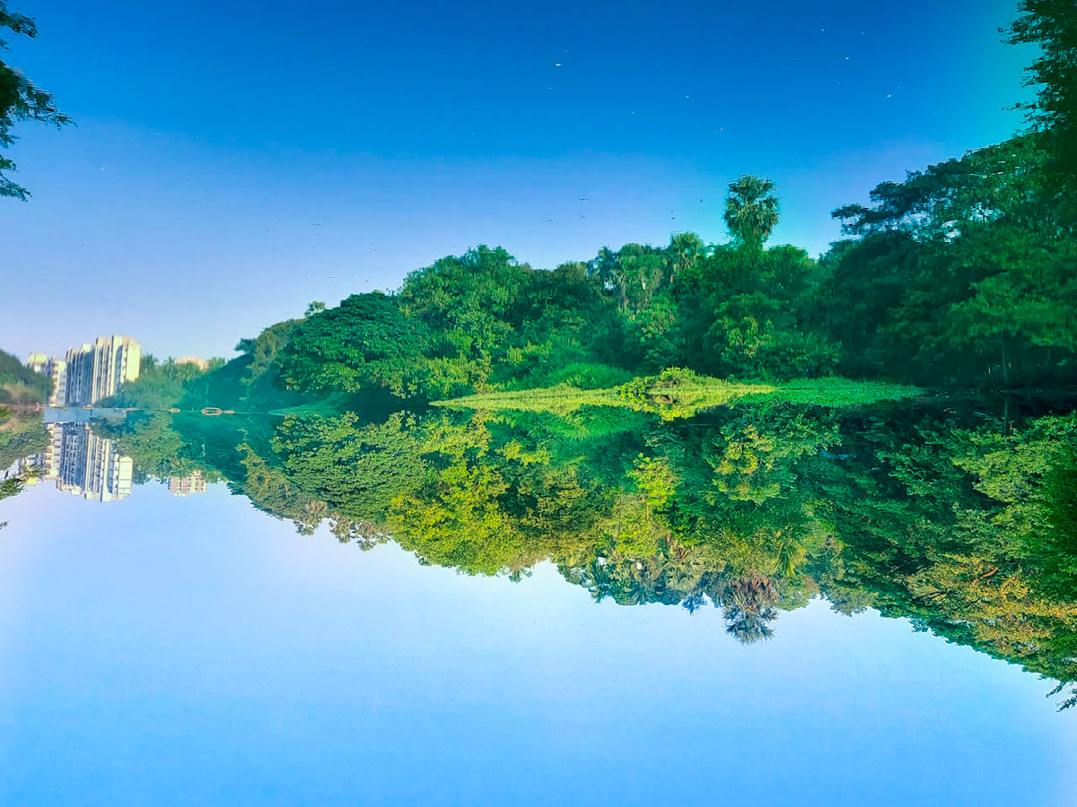 Reflection | Edit | Photoshop Lightroom