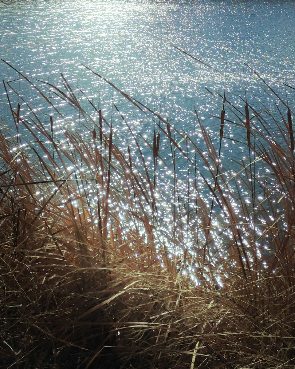 White Mist Filter Effect | Edit | Photoshop Lightroom