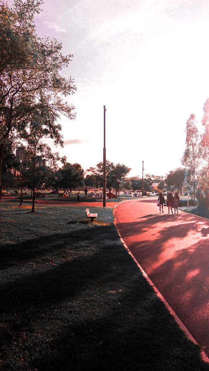 "Peach Pathways" | Edit | Photoshop Lightroom