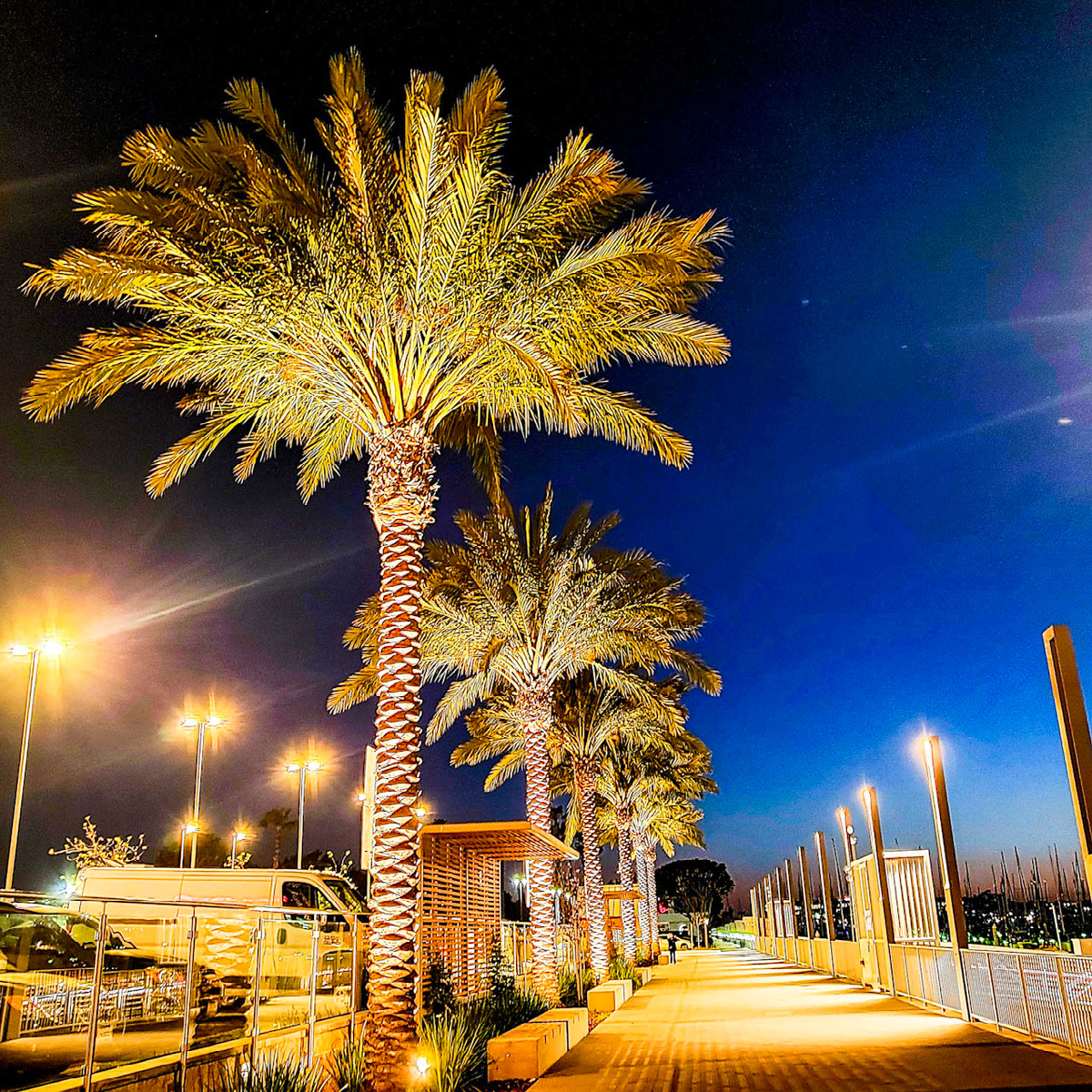 Night Marina del rey ca | Edit | Photoshop Lightroom