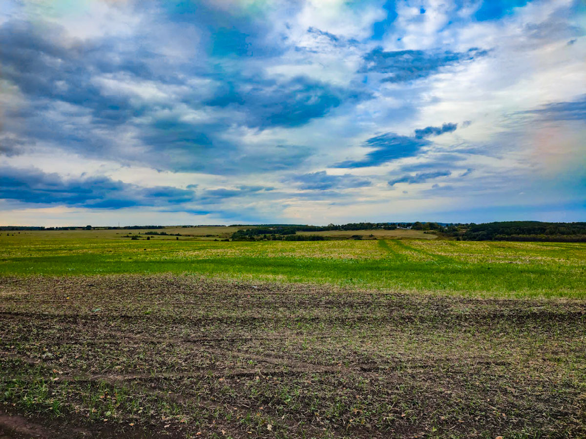 Field | Edit | Photoshop Lightroom