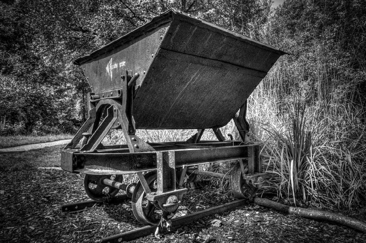 Tipper | Edit | Photoshop Lightroom