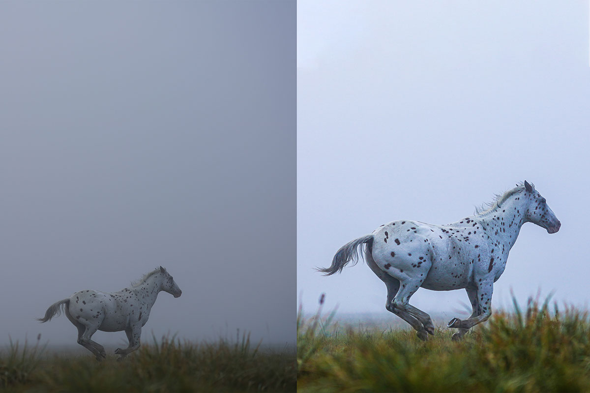 Crop for Emphasis | Tutorial | Photoshop Lightroom