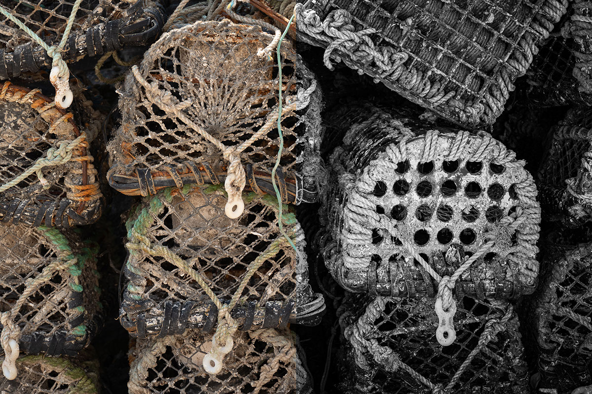 Emphasize Black & White Image Texture | Tutorial | Adobe Lightroom