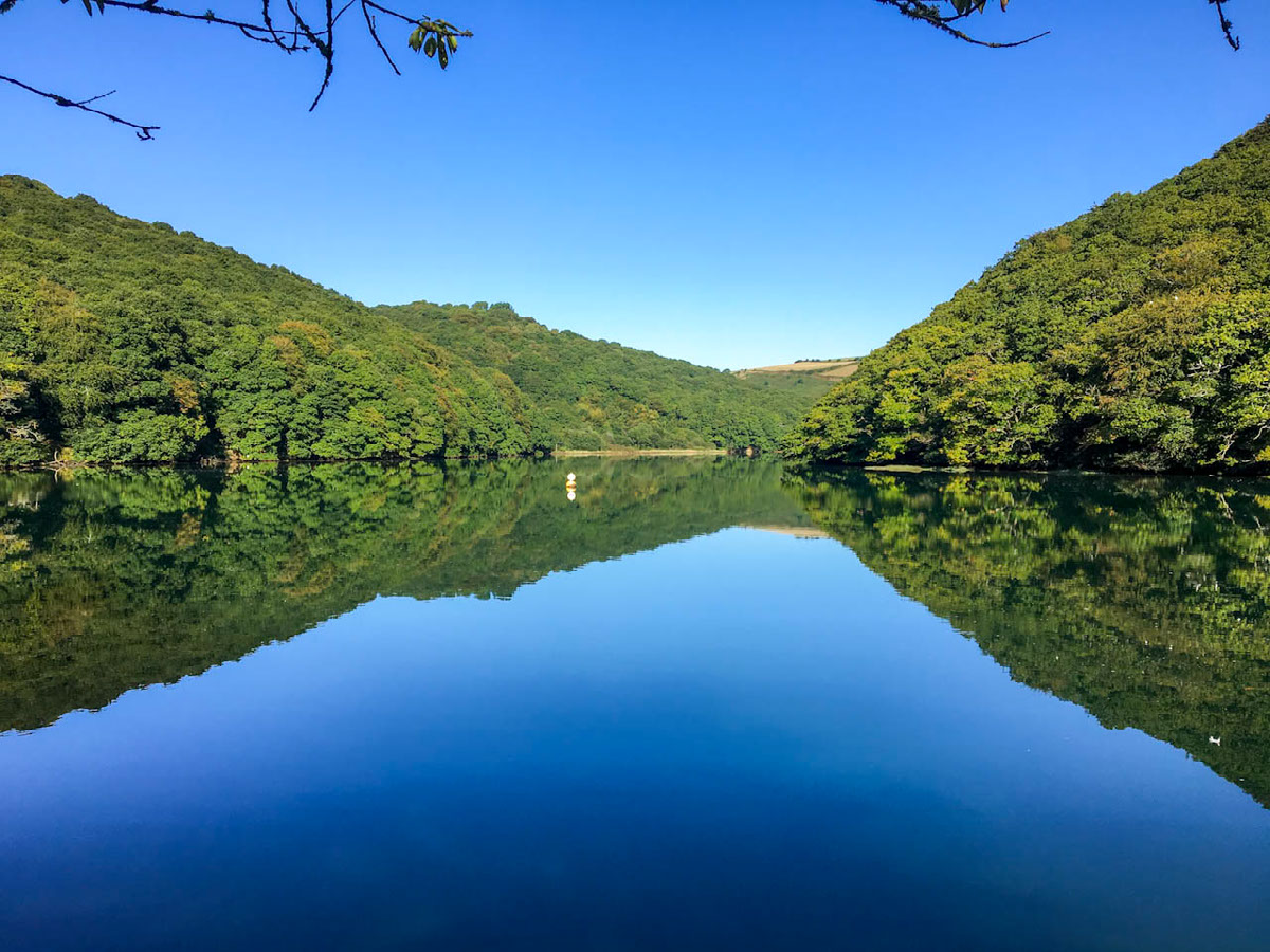 Mirror image | Edit | Photoshop Lightroom