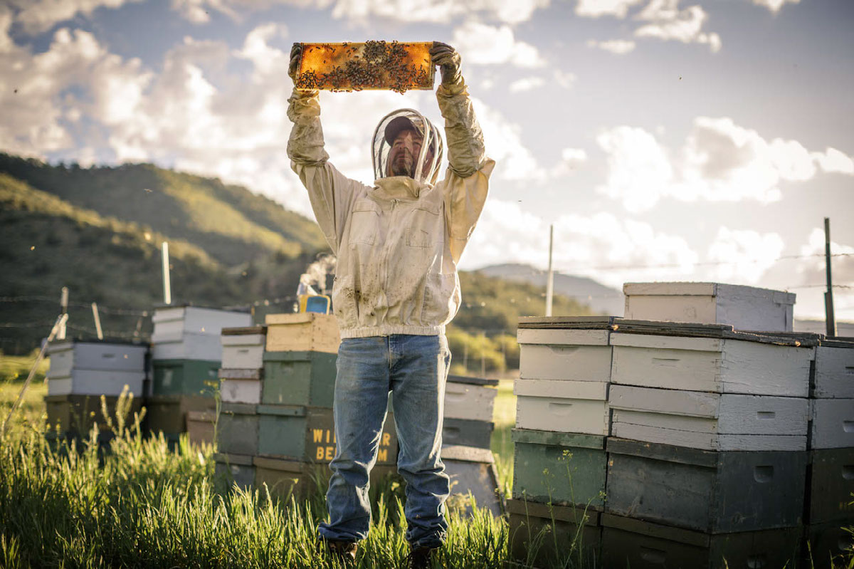 The Beekeeper | Edit | Photoshop Lightroom