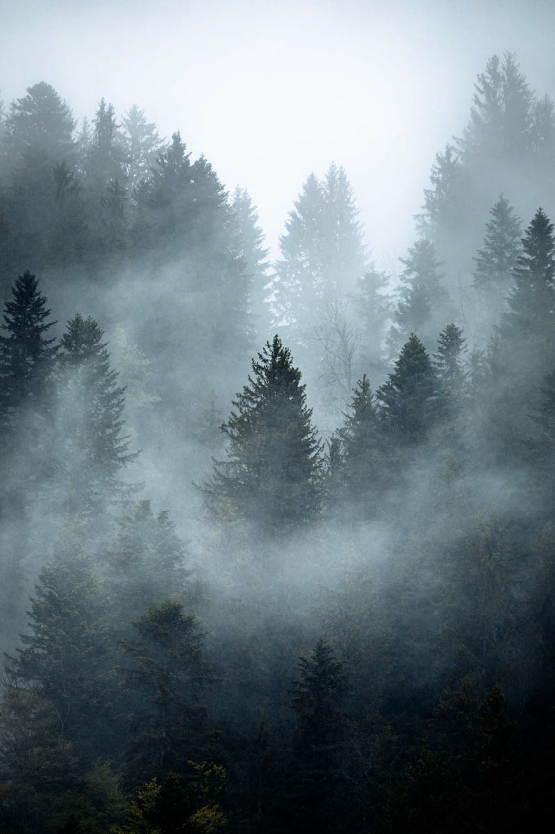 Using Radial gradient to draw eye to the center of frame. | Edit ...