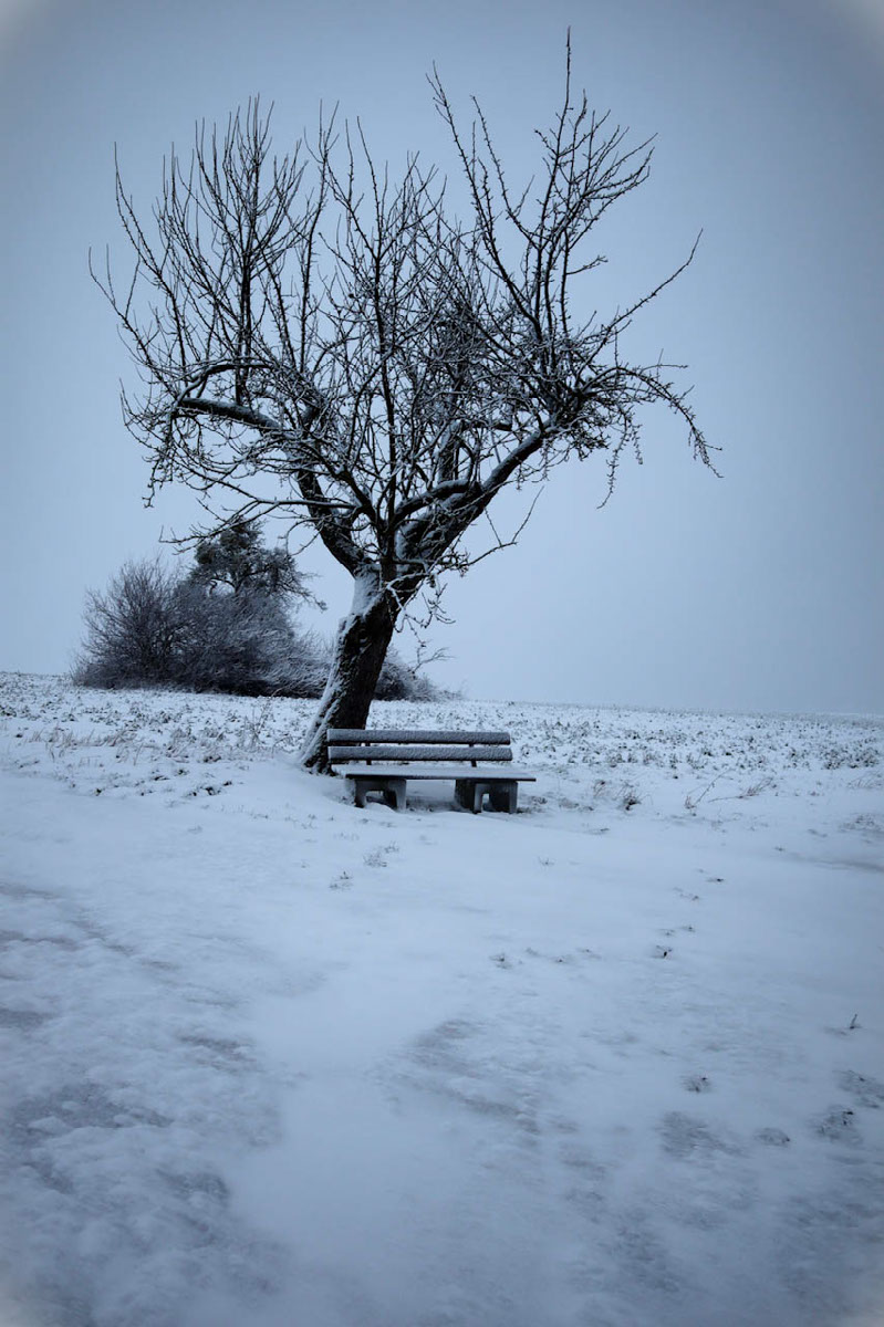 Favorite Spot | Edit | Photoshop Lightroom