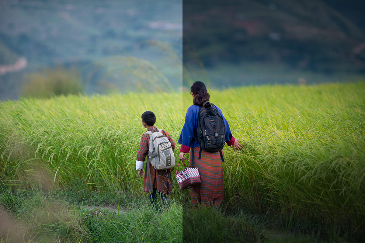 Relighting a Scene with Radial Gradients | Tutorial | Adobe Lightroom